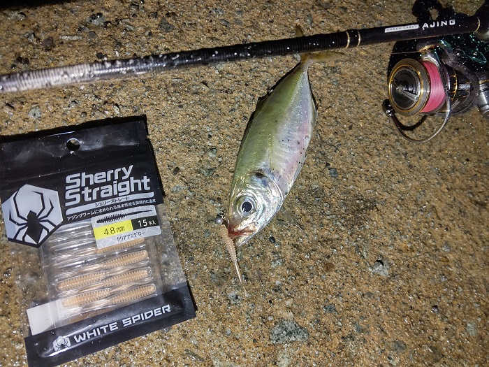 本間釣具店・フィッシャーズ｜新潟・富山・石川・福井の釣り情報・通販